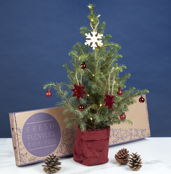 The Classic Letterbox Christmas Tree | Funky Pigeon
